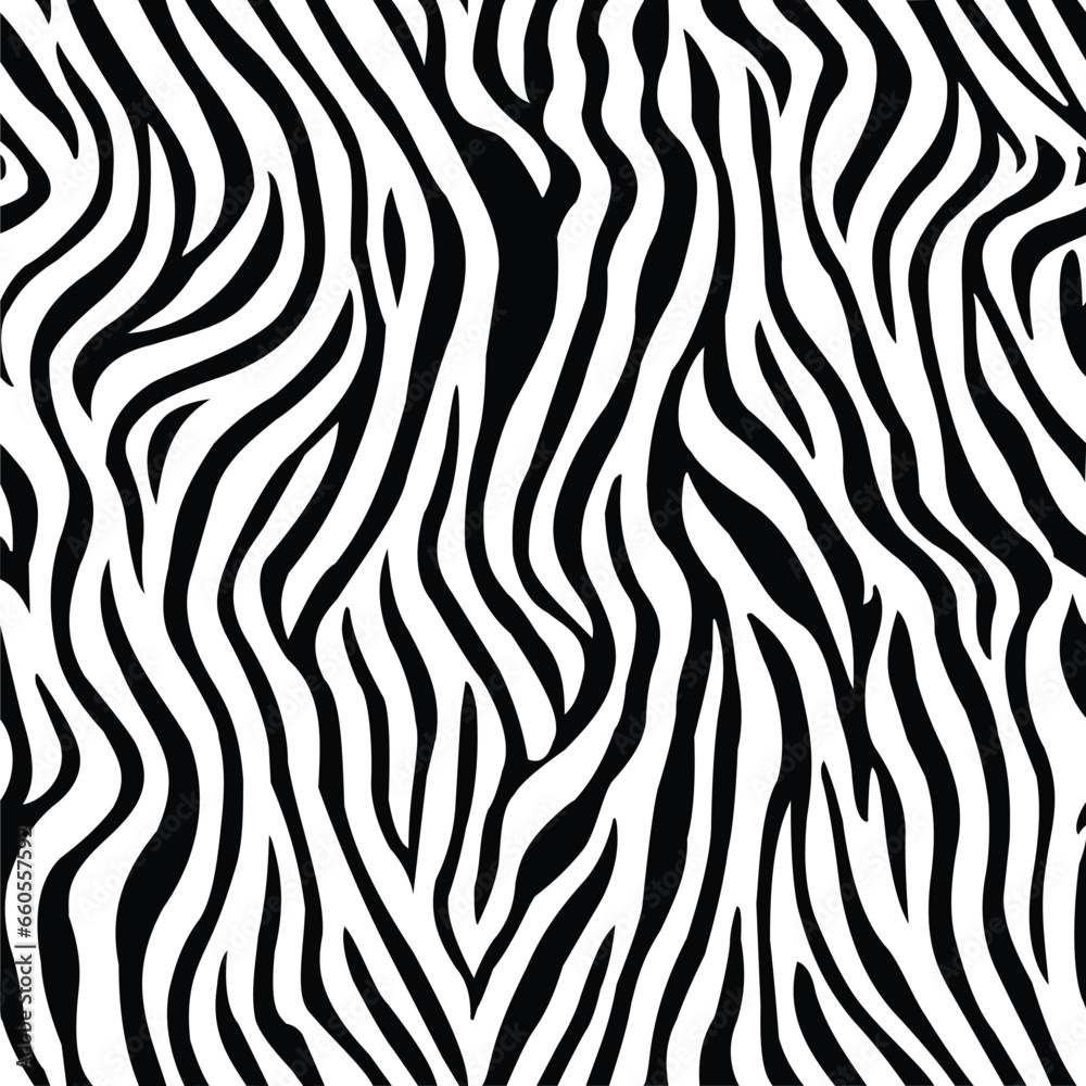 Zebra skin texture background minimal black and white vector eps Stock ...