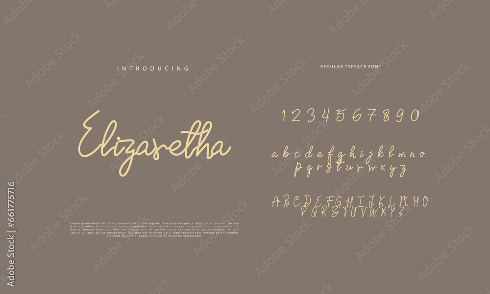 Handwritten Script font. Hand drawn brush style modern calligraphy ...