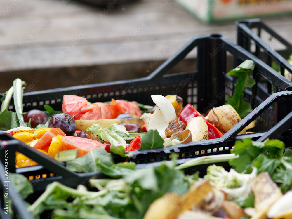 Expired Organic bio waste. Mix Vegetables and fruits in a huge ...