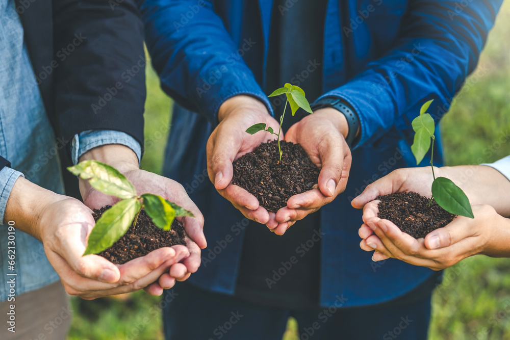 Environmental Collaboration in green business people conserve the green ...
