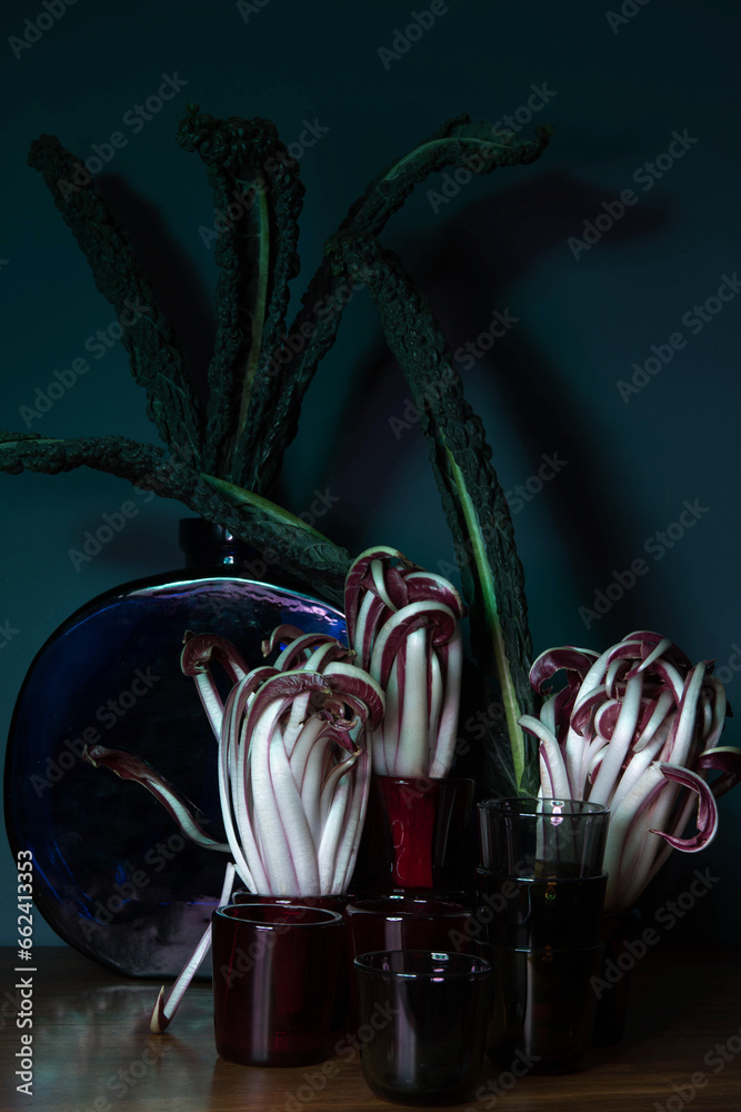 Design and food still life, Radicchio, salad, in dark moody light, art ...
