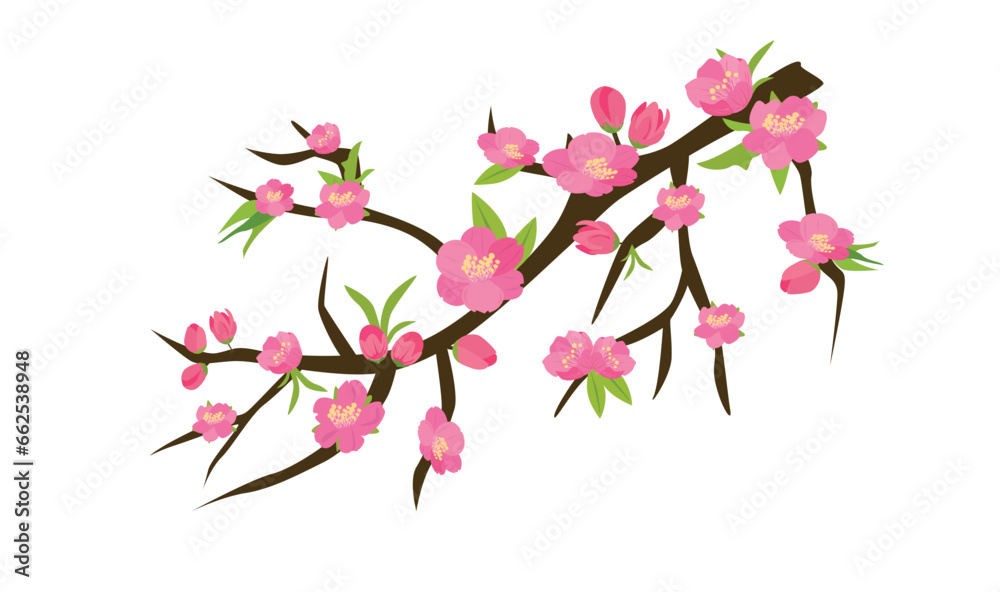 Cartoon peach blossom vector set with flower, leaf, bud, tree branch ...