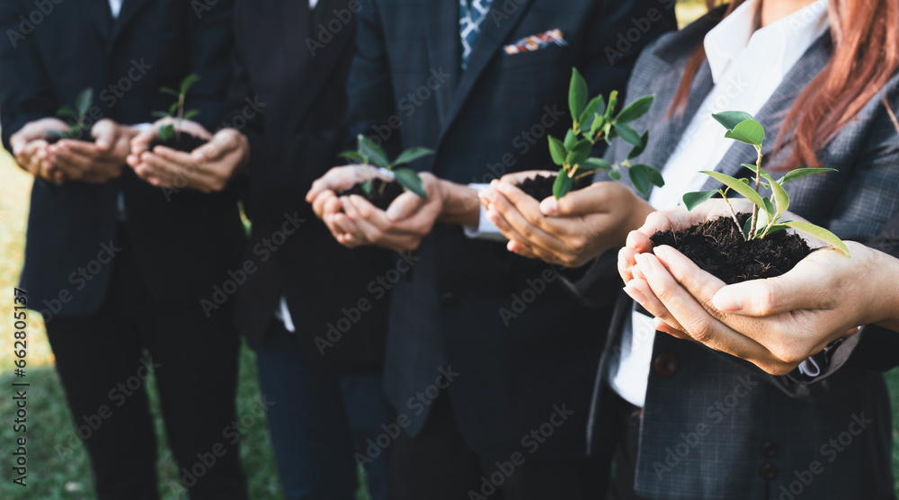 Business people hold plant together in unity and teamwork concept of ...