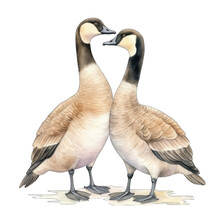 Two Canada Geese On Lake Background Free Stock Photo - Public Domain ...