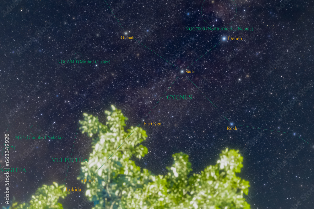 Constellation guide (How to find), Cygnus above the Milky Way, Deneb ...