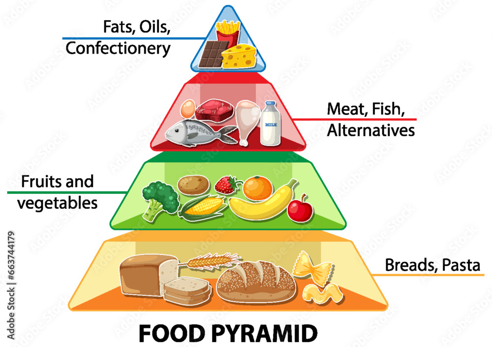 Cartoon Food Pyramid Infographic: A Nutritional Guide 素材庫向量圖 | Adobe Stock