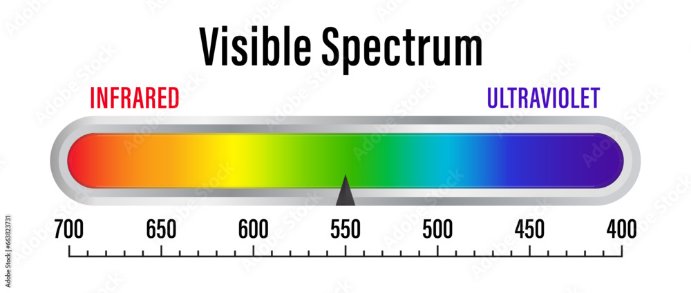 Visible light spectrum. Electromagnetic visible color spectrum for ...