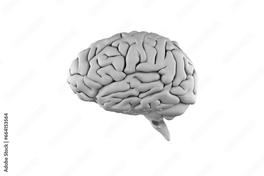 Digital png illustration of brain 3d model on transparent background ...