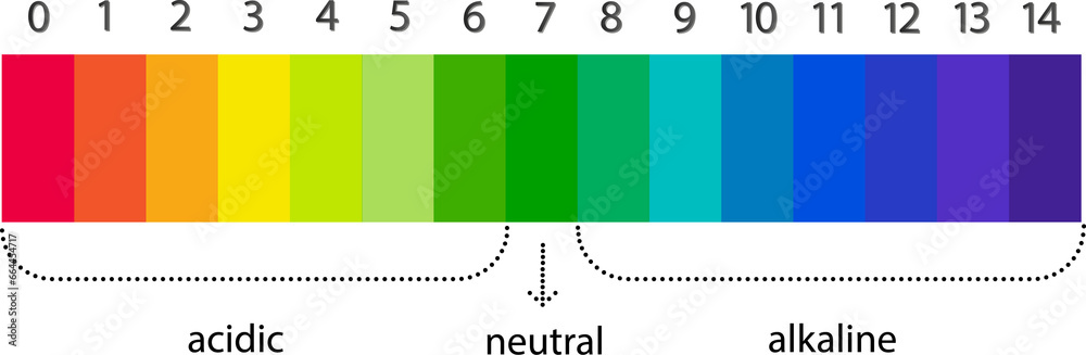 pH scale chart for acid and alkaline solutions. Acid-base balance ...