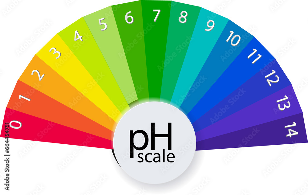 pH scale chart for acid and alkaline solutions. Acid-base balance ...