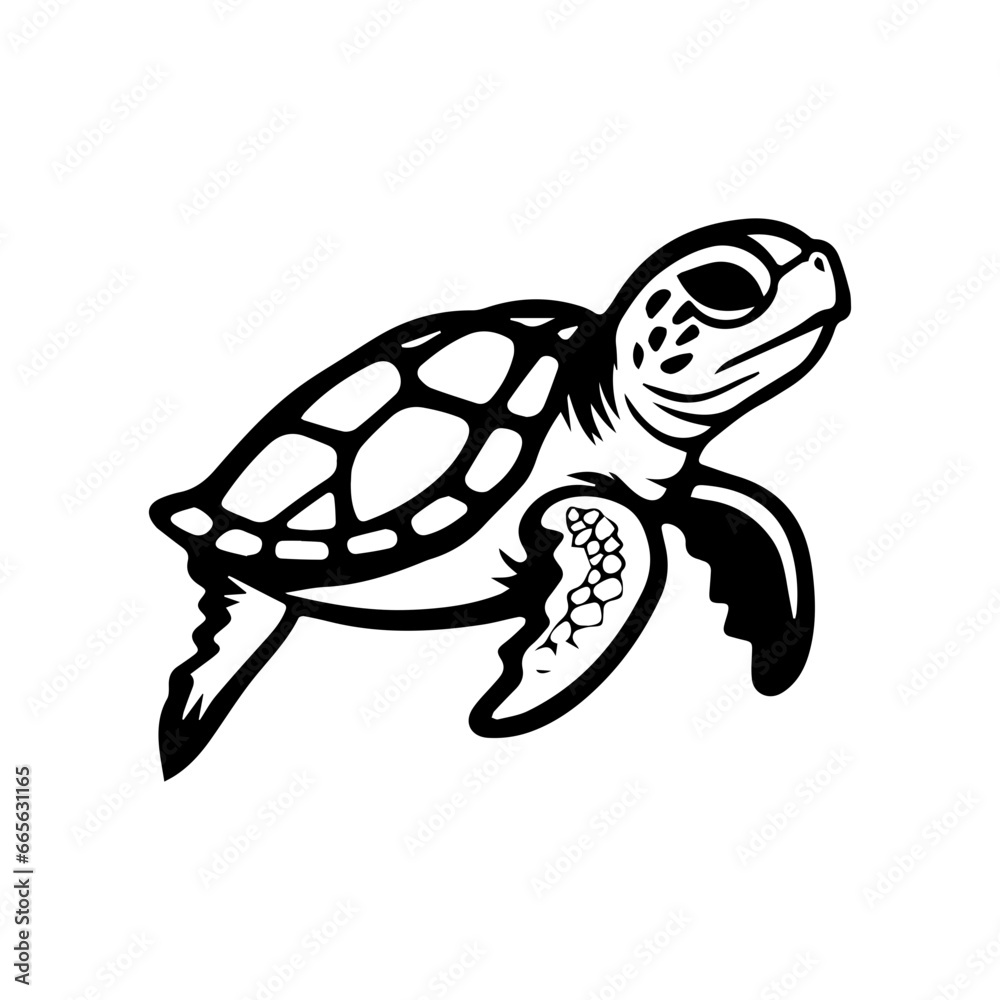 Sea turtle hand drawn engraving style sketch Underwater animals Vector ...