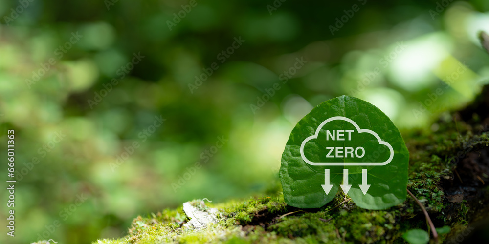 Net zero and carbon neutral concept. Greenhouse gas emissions target ...