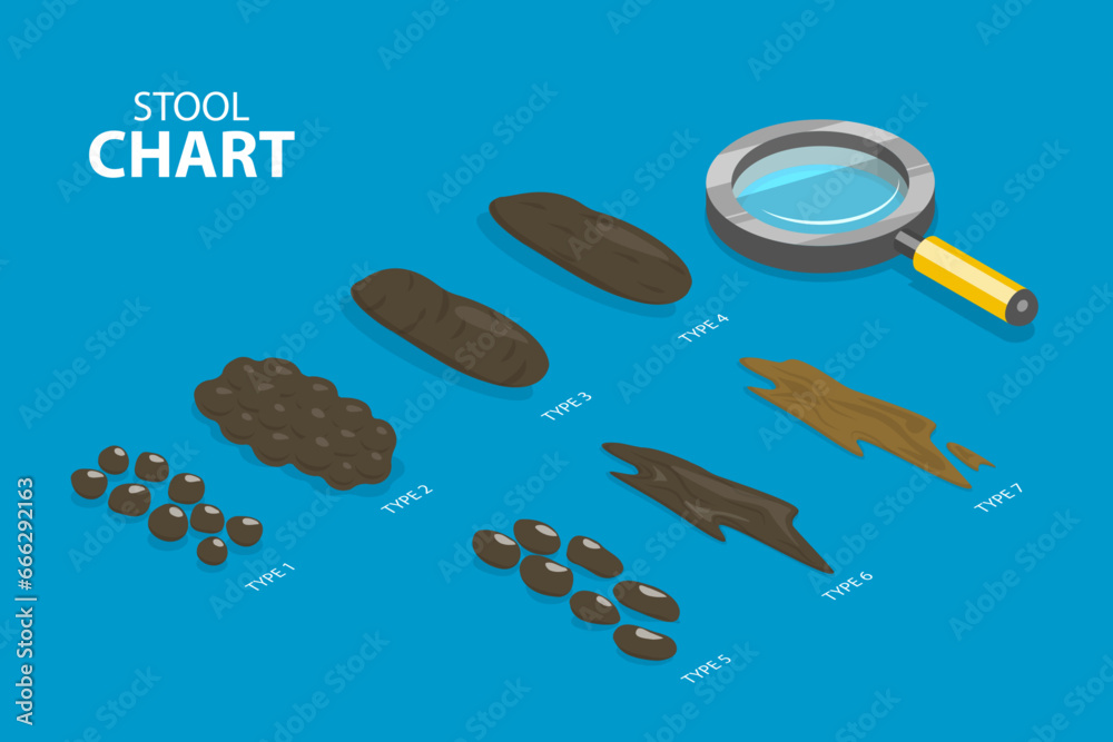3D Isometric Flat Vector Illustration of Bristol Stool Chart, Faeces ...