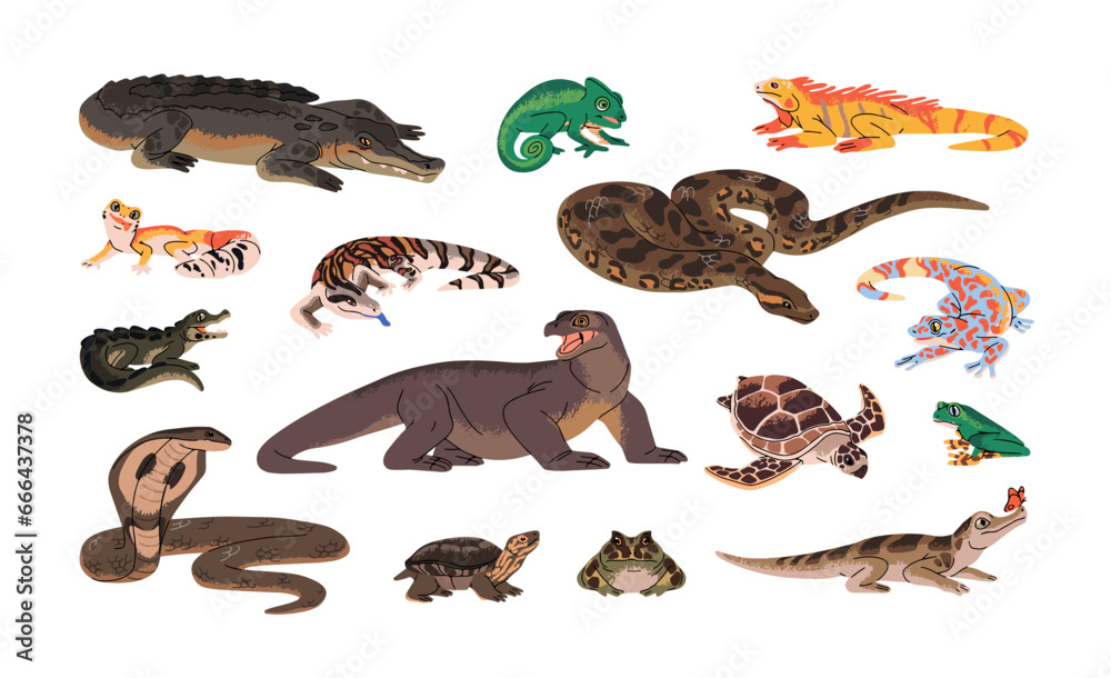 Exotic reptiles set. Amphibian animals, snakes, lizards. Tropical fauna ...