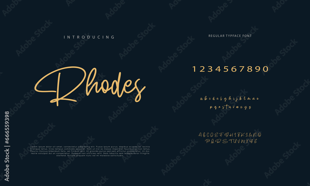Handwritten Script font. Hand drawn brush style modern calligraphy ...