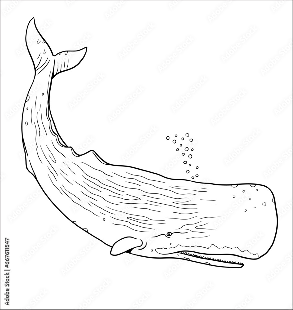 Sperm whale to color in. Vector template for a coloring book with sea ...