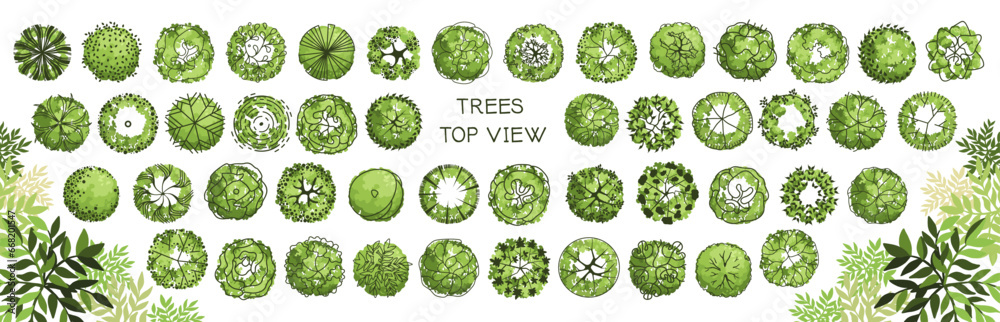 Tree for architectural floor plans. Entourage design. Various trees, bushes, and shrubs, top ...