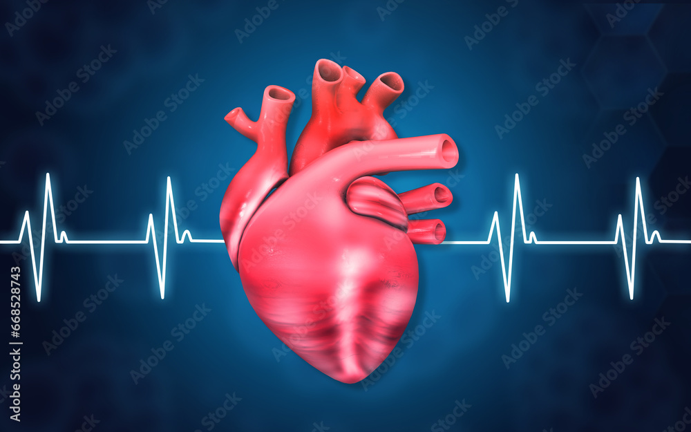 Human heart with ecg graph. 3d illustration. Stock Illustration | Adobe ...