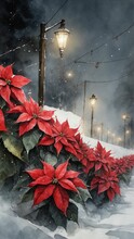 Radiant Poinsettia Free Stock Photo - Public Domain Pictures