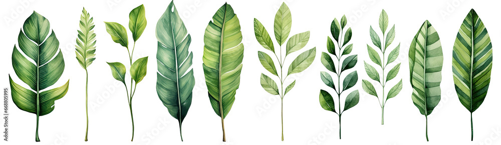 Modern watercolor green tropical leaves, clip art Botanical ...
