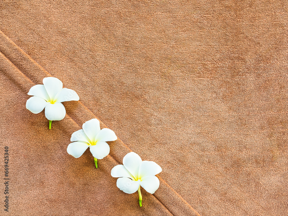 Spa Beauty Relax Hotel Salon Background Flower Aromatherapy Room ...