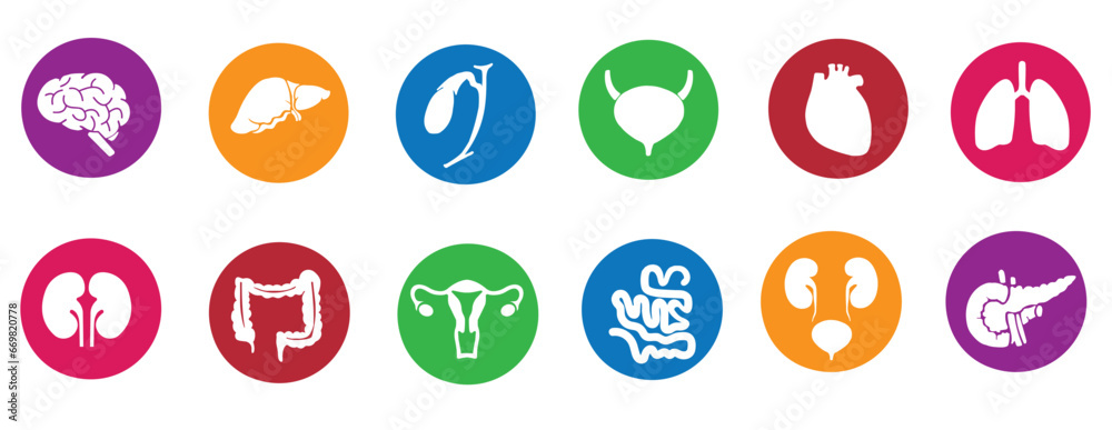 Human internal organs. Vector sketch isolated illustration. Hand drawn ...