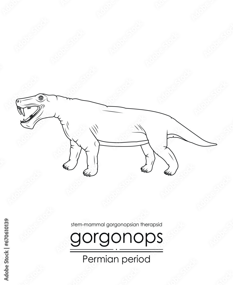 Gorgonops, a Permian period prehistoric stem-mammal gorgonopsian ...