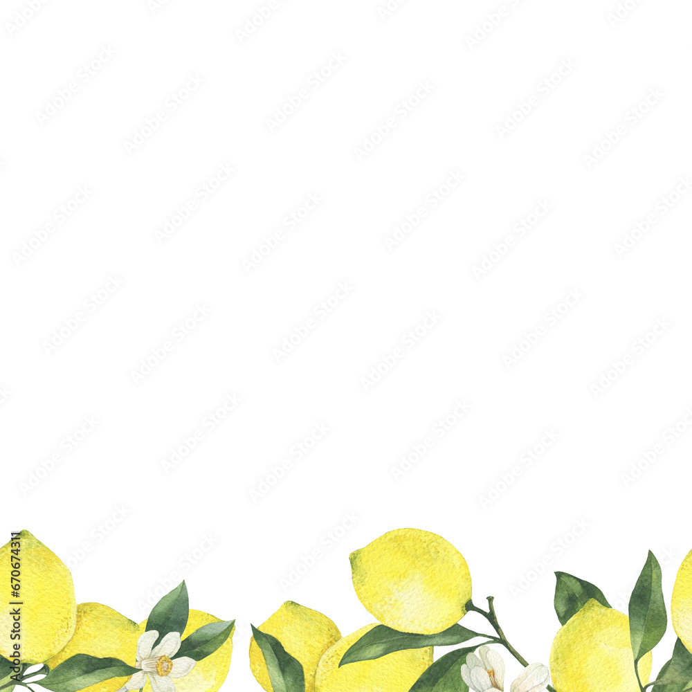 Watercolor lemon hand drawn illustration. Seamless border. Fresh lemons ...