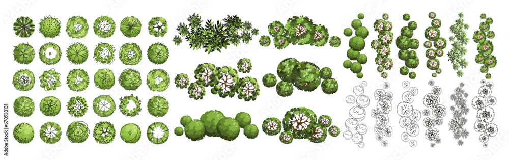 Tree for architectural floor plans. Entourage design. Various trees ...