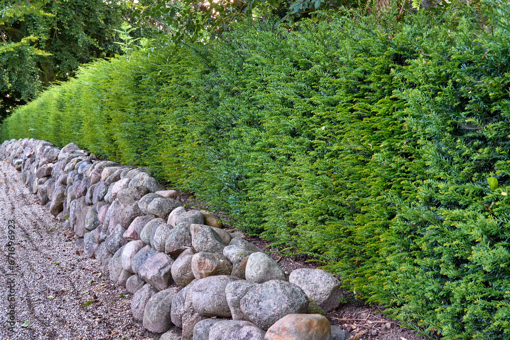 Landscaping with rocks and ferns as a boundary wall with copy space ...