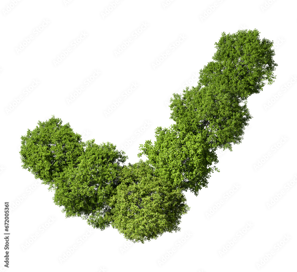 Check mark symbol jungle trees concept from above view isolated ...