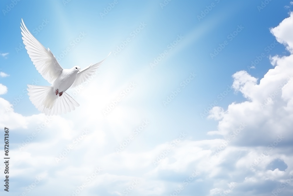 sky funeral background with white dove, copy space for text Stock ...