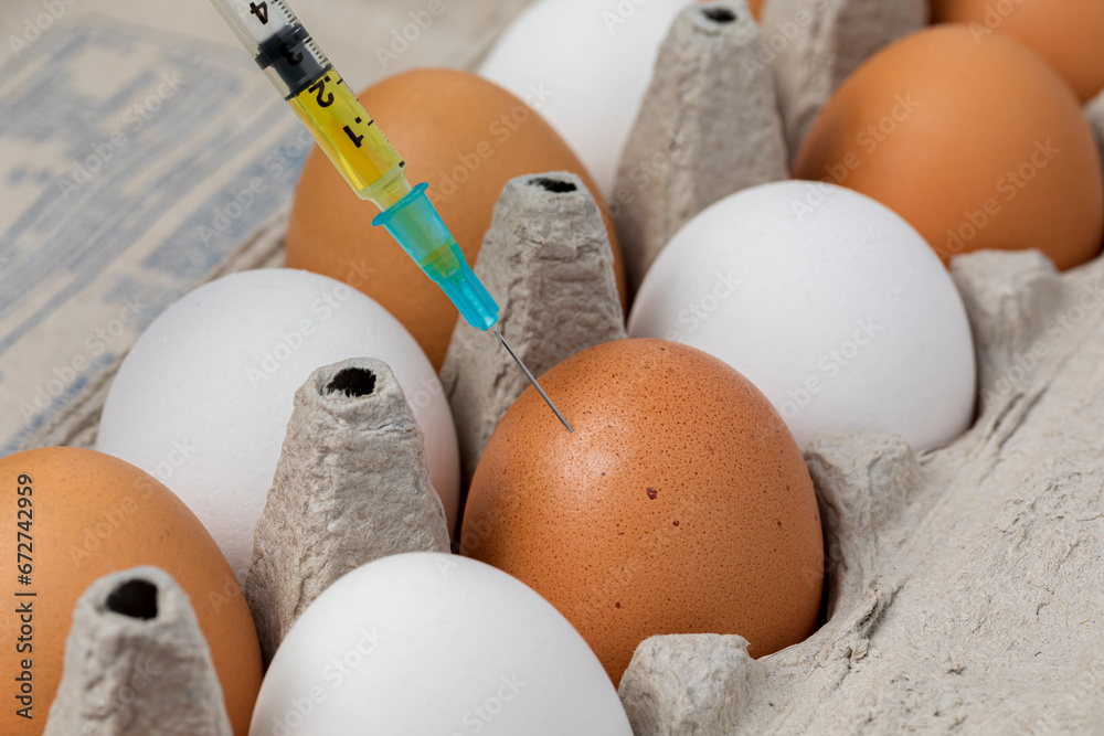 Syringe and chicken eggs. Poultry farming, antibiotic resistant ...