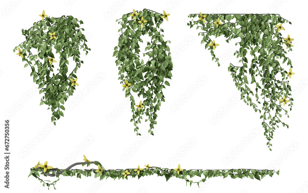 Vines decorate both vertical and horizontal walls on transparent ...