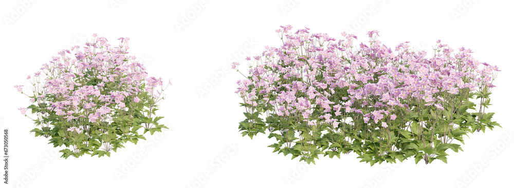 Flowering shrubs 3D rendering with transparent background, for ...