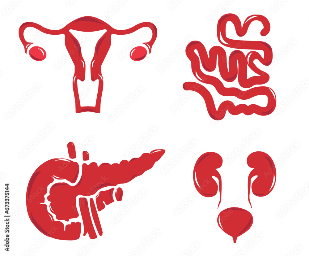 Human internal organs. Vector sketch isolated illustration. Hand drawn ...