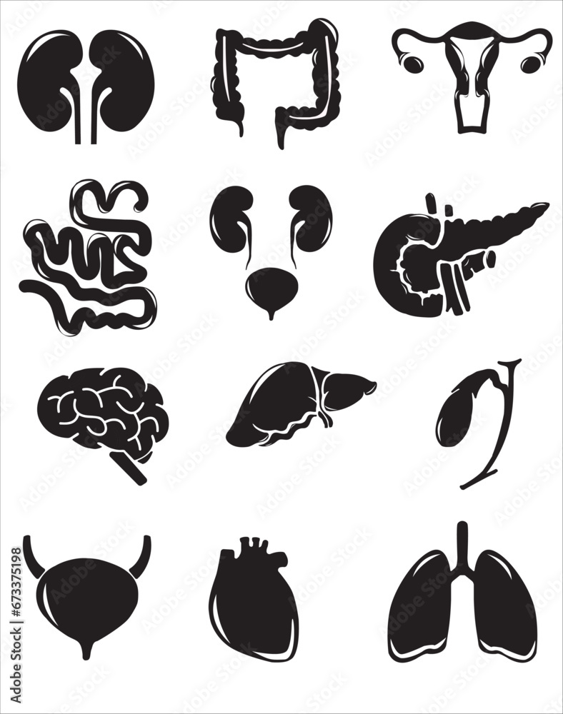Human internal organs. Vector sketch isolated illustration. Hand drawn ...