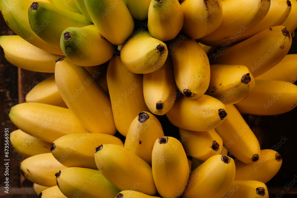Lady Finger bananas are diploid cultivars of Musa acuminata. They are ...