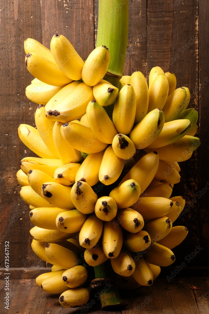 Lady Finger bananas are diploid cultivars of Musa acuminata. They are ...