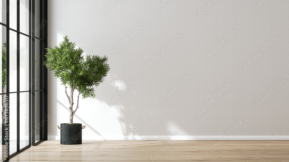 Modern, minimal empty room with green tree in black pot, glass sliding ...