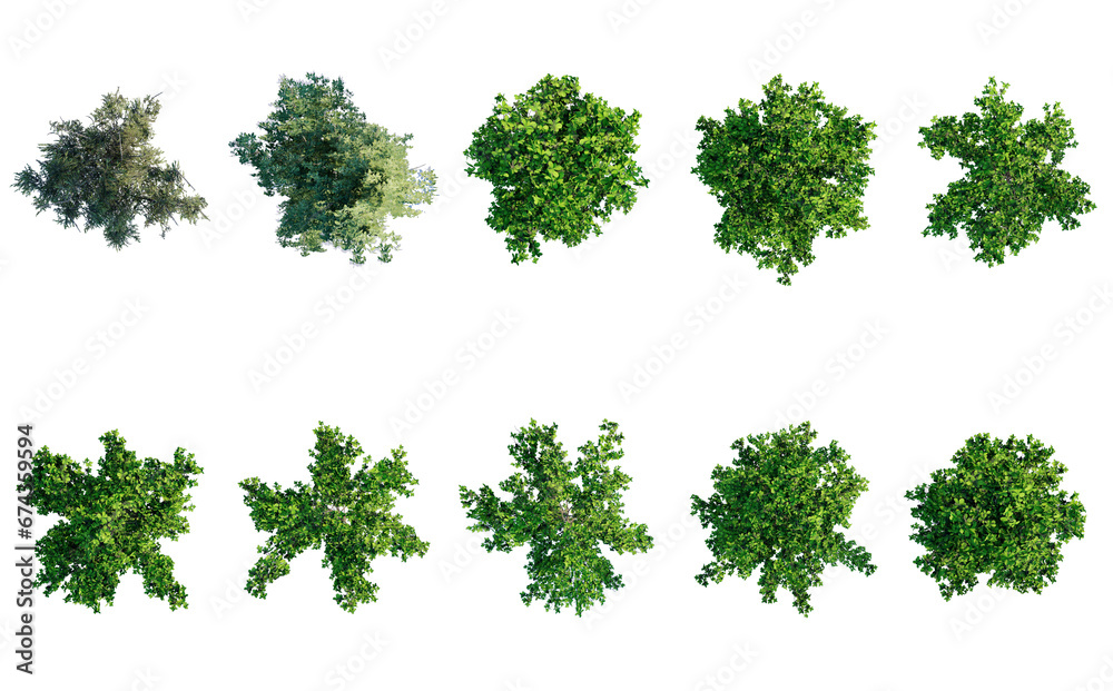 tree top view plant landscape architecture nature garden aerial render ...