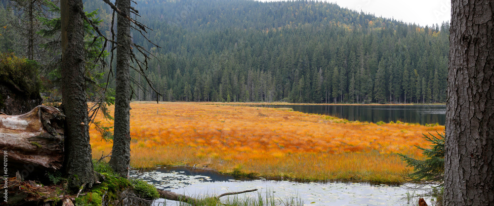 Großer Arbersee im Herbst, Bayersicher Wald, Bayerisch Eisenstein ...