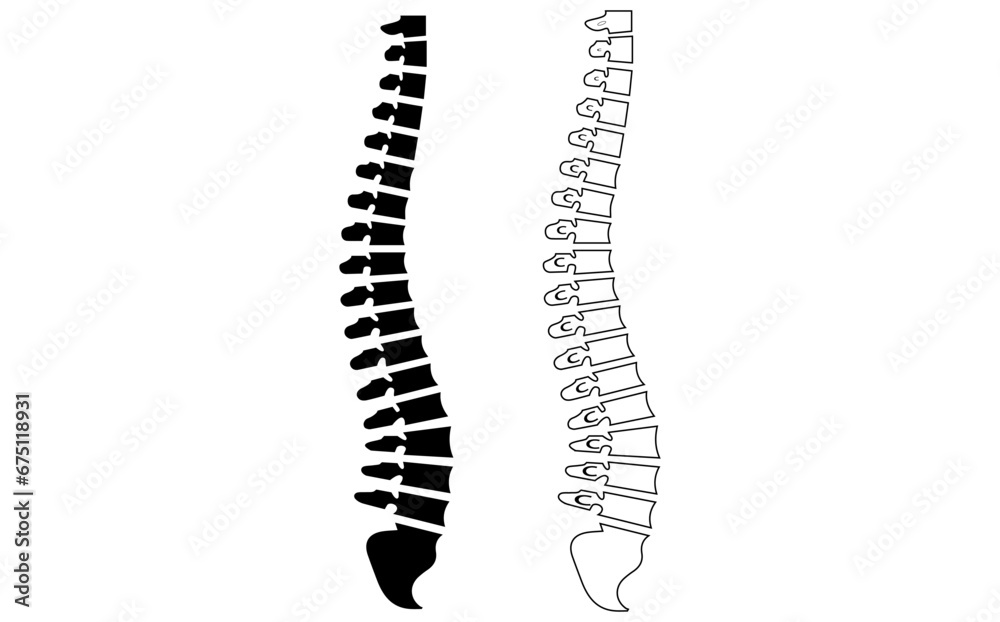 Human skeleton. Spine silhouette. Spine body bones - sacrum, vertebrae ...