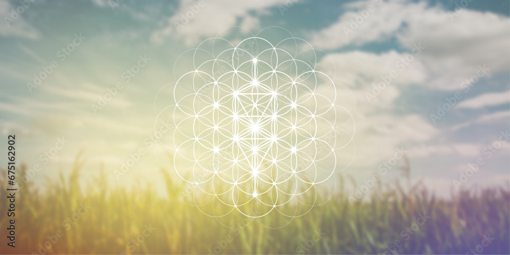Flower of life. Tree of life. Sacred geometry spiritual new age ...