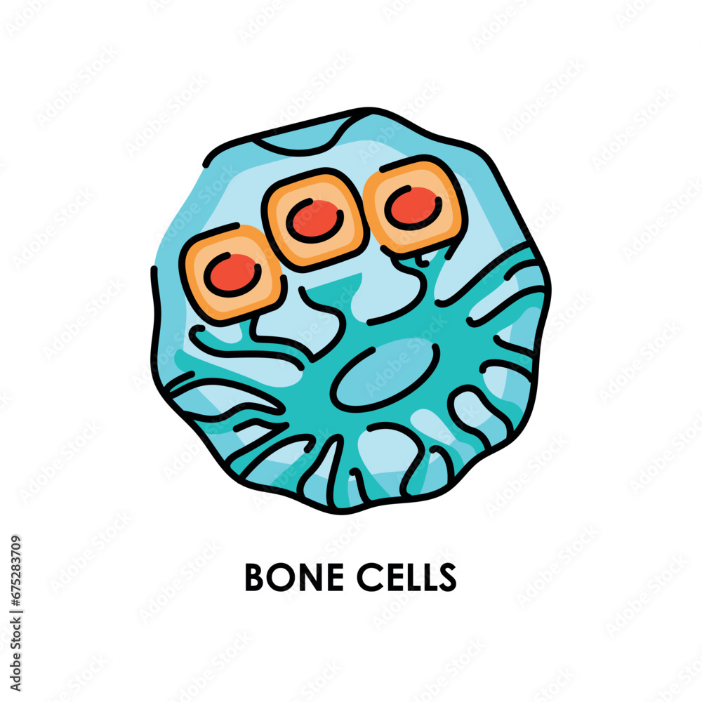 Human bone cell color line icon. Microorganisms microbes, bacteria ...