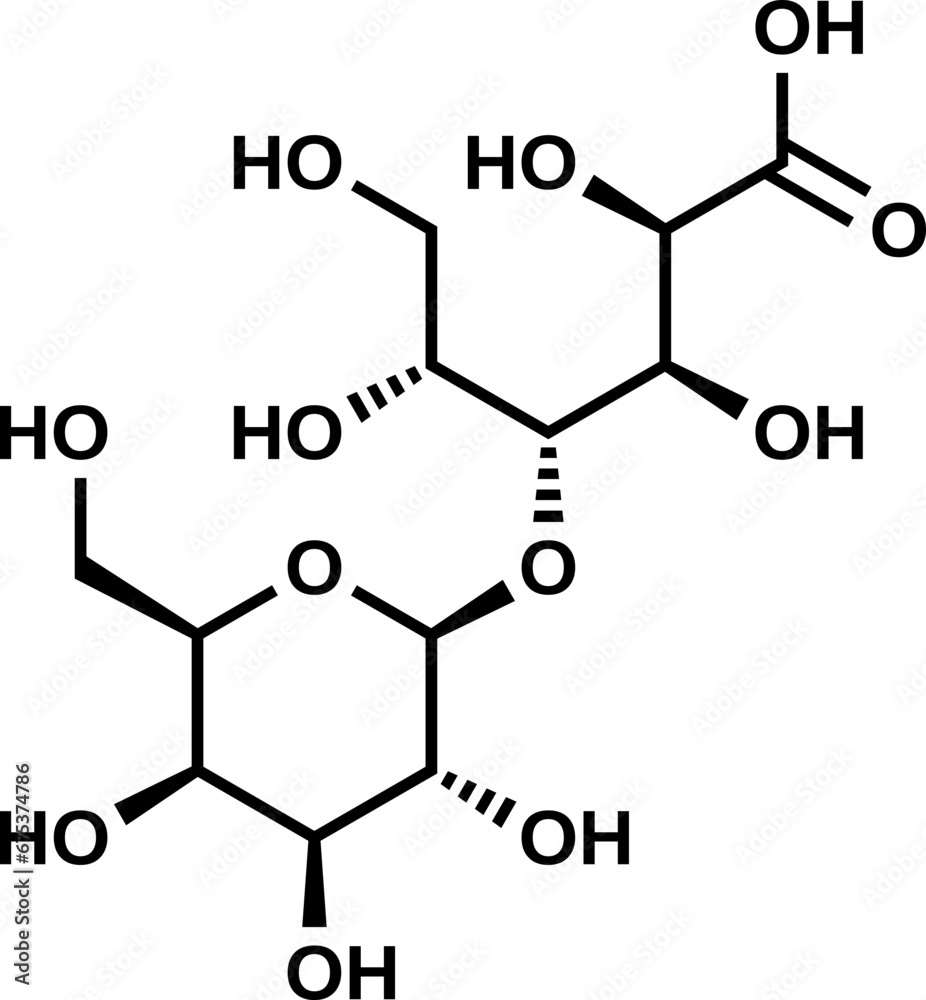 Lactobionic acid chemical structural formula, vector illustration Stock ...