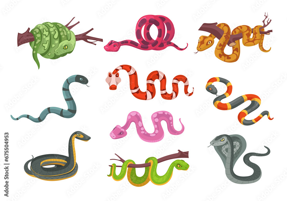 Cartoon reptiles. Different types color snakes. Poisonous and ...