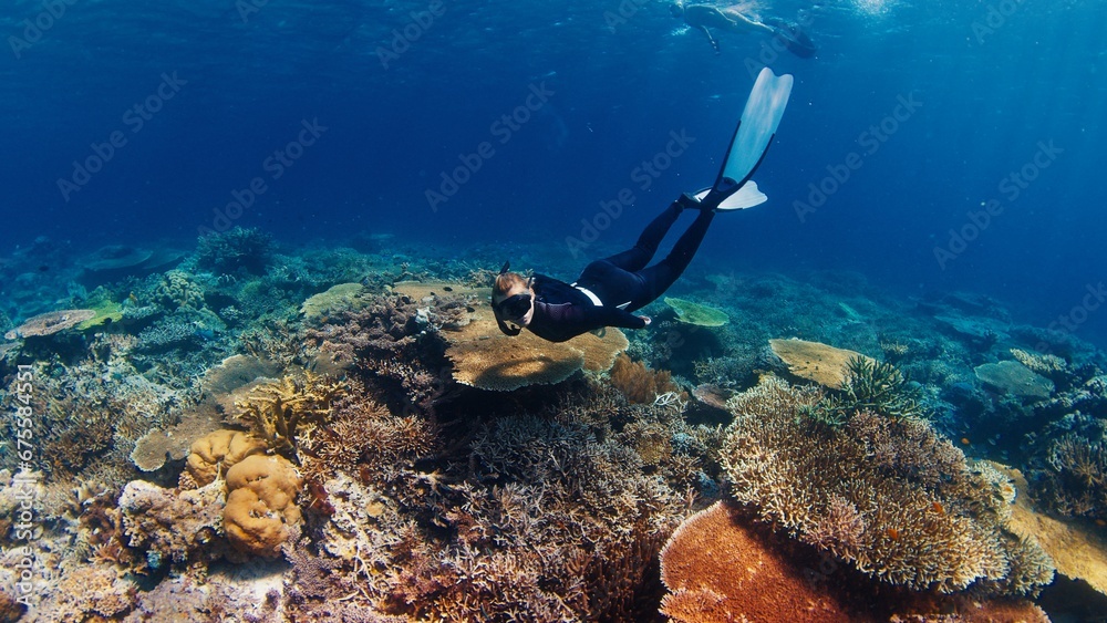 Freediving on the abundant healthy reef. Woman freediver glides ...