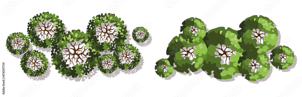 Group of trees for architectural floor plans. Entourage design. Various trees, bushes, and ...