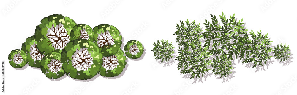 Group of trees for architectural floor plans. Entourage design. Various ...